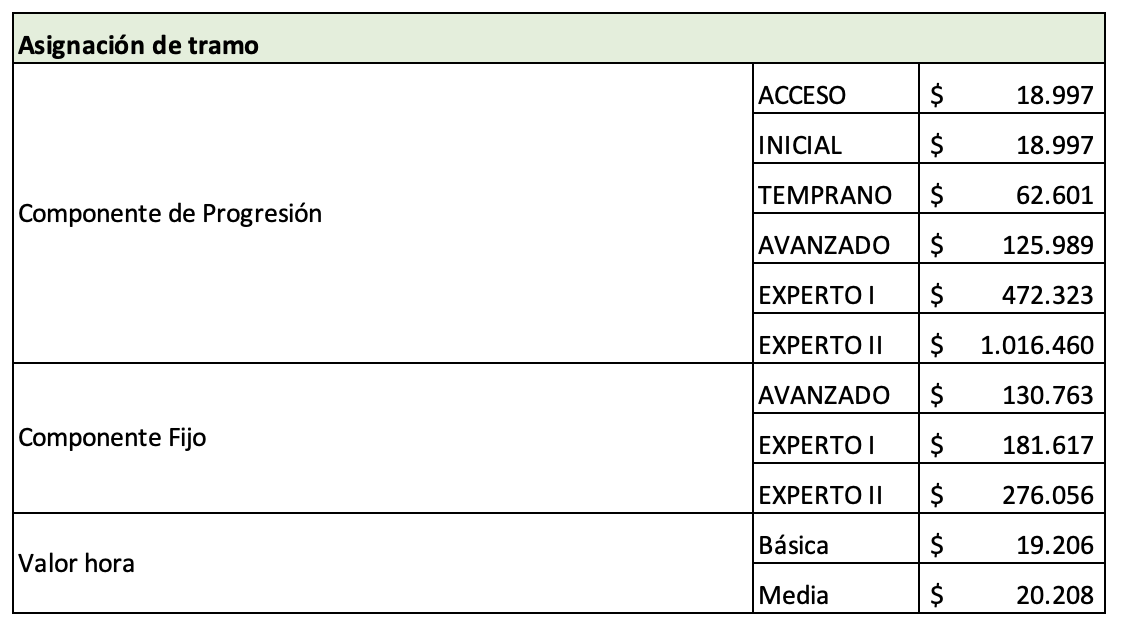 Valores 2025 de BRP y asignaciones de la Carrera Docente - Cpeip